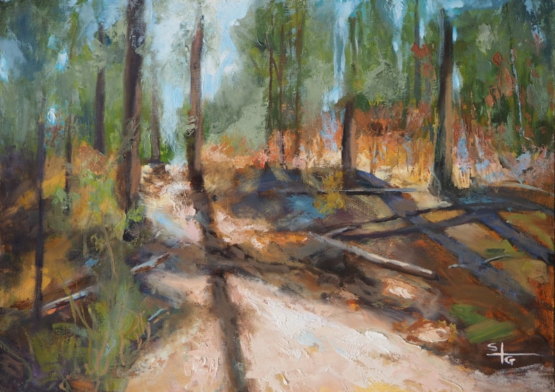 Sof Georgiou – Red Hill Gallery