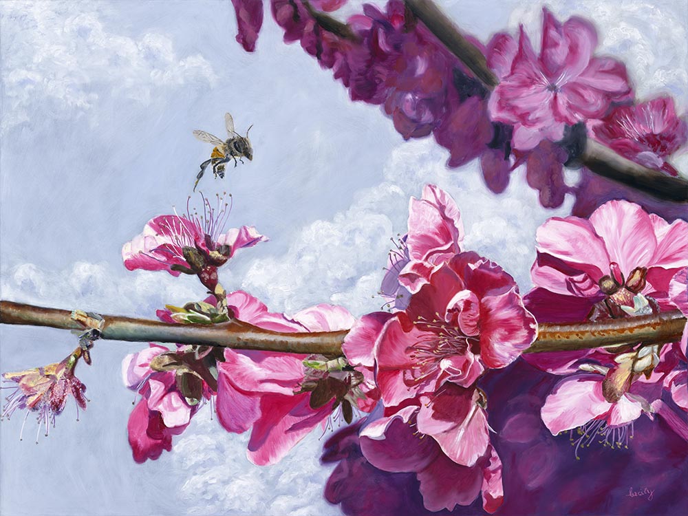 Cecily Slade – Red Hill Gallery