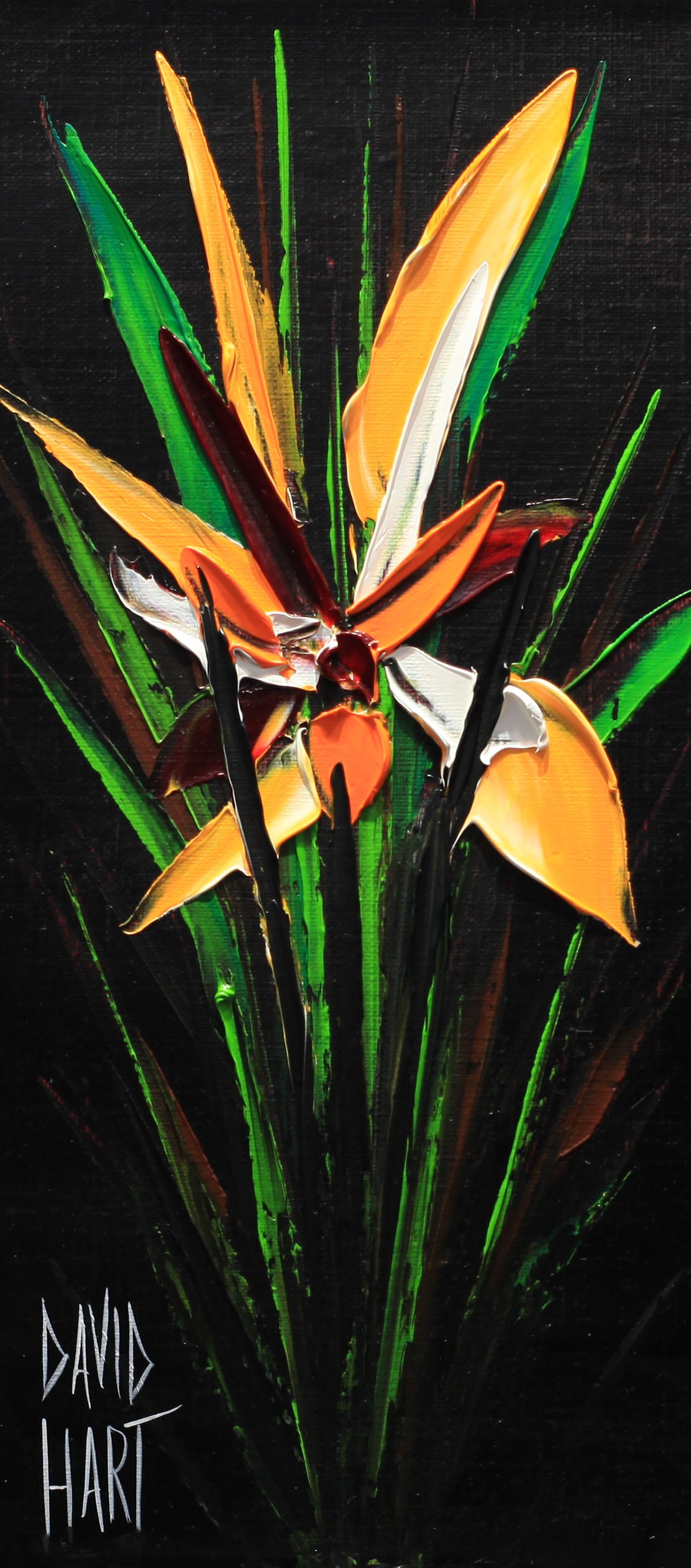 David Hart – Red Hill Gallery