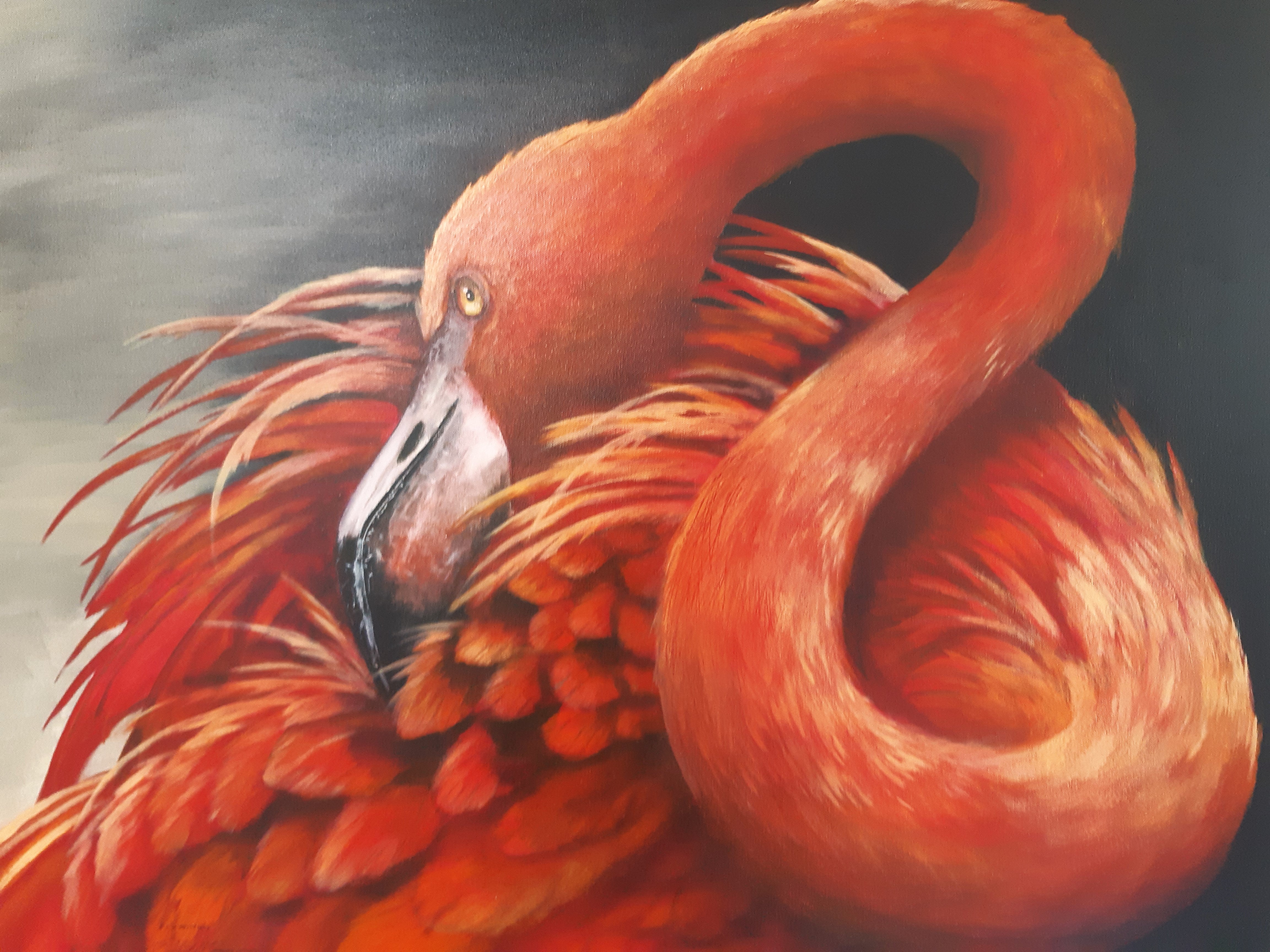 Paul Margocsy – Red Hill Gallery