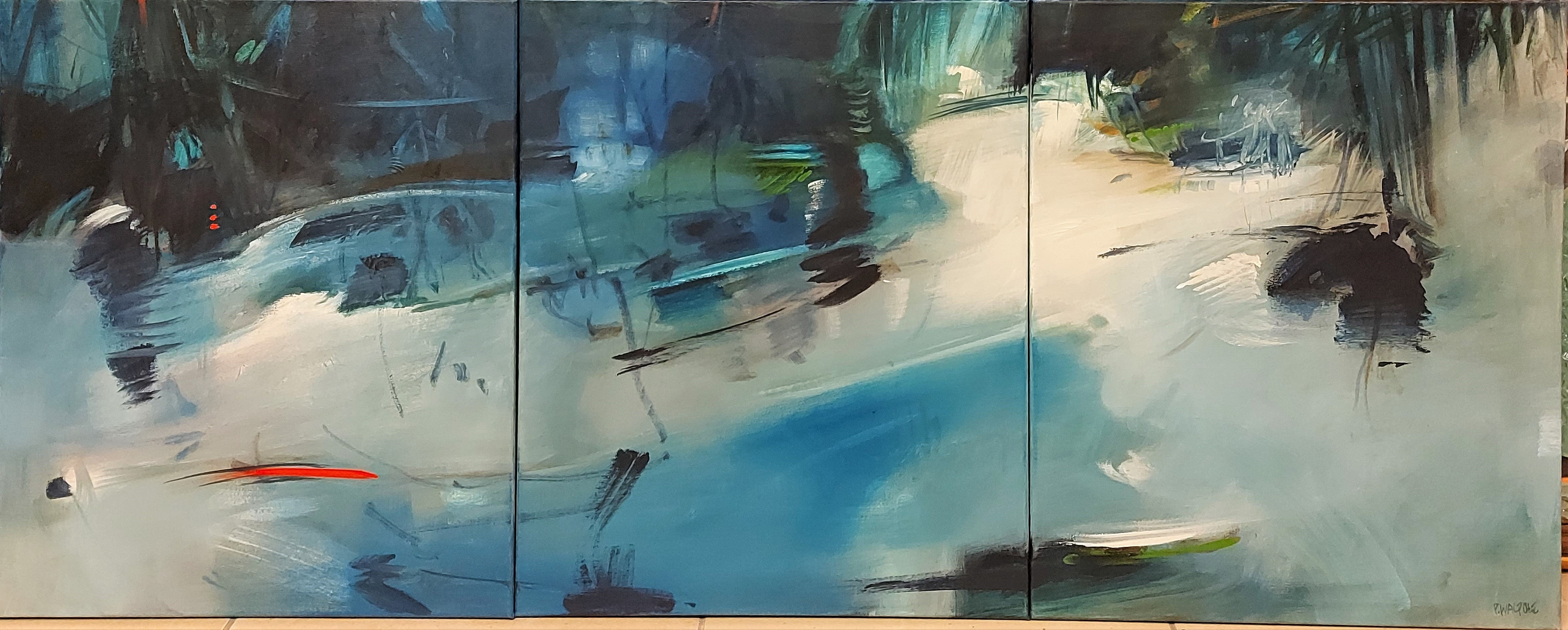 Pam Walpole – Red Hill Gallery