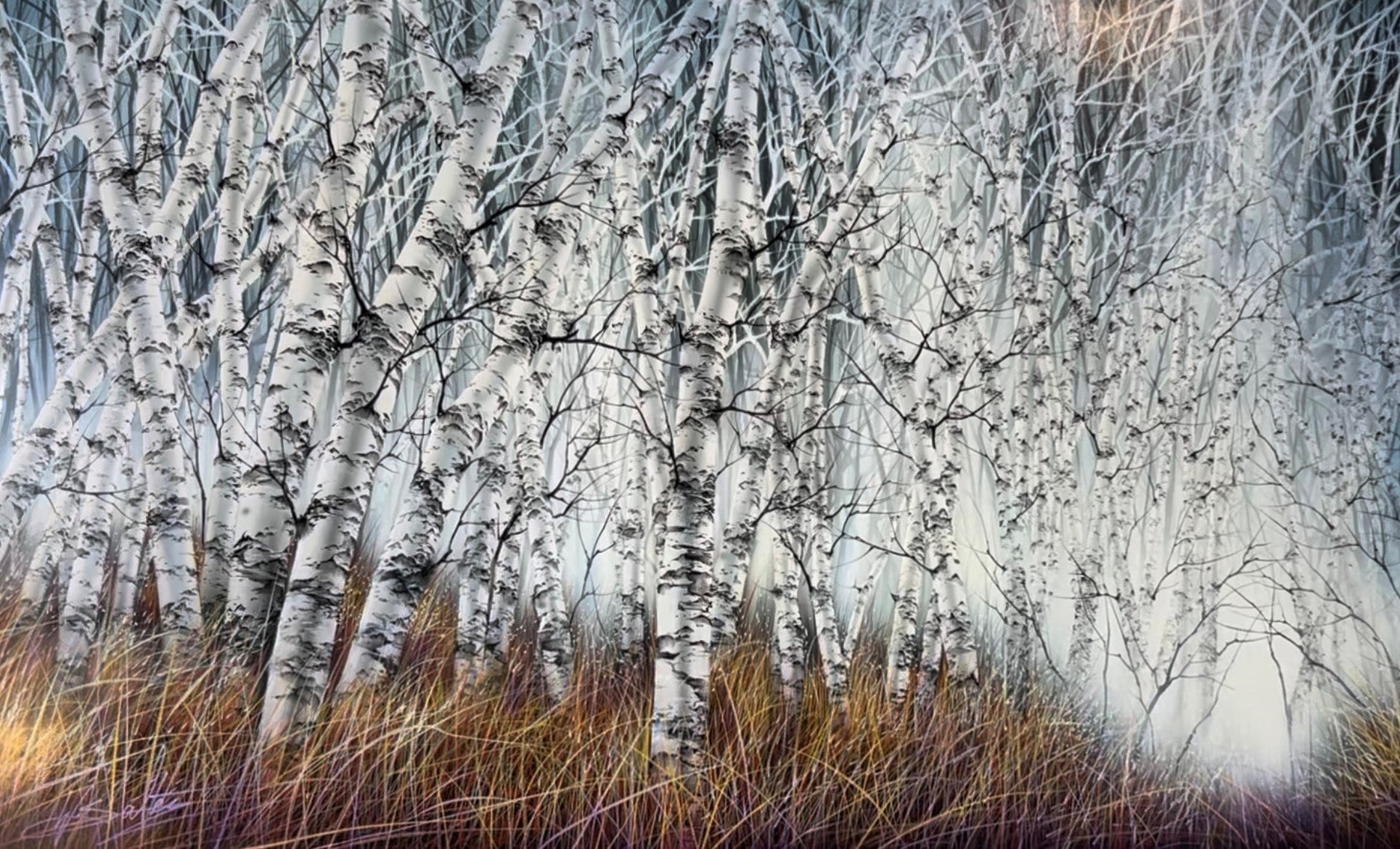 Warren Salter – Red Hill Gallery