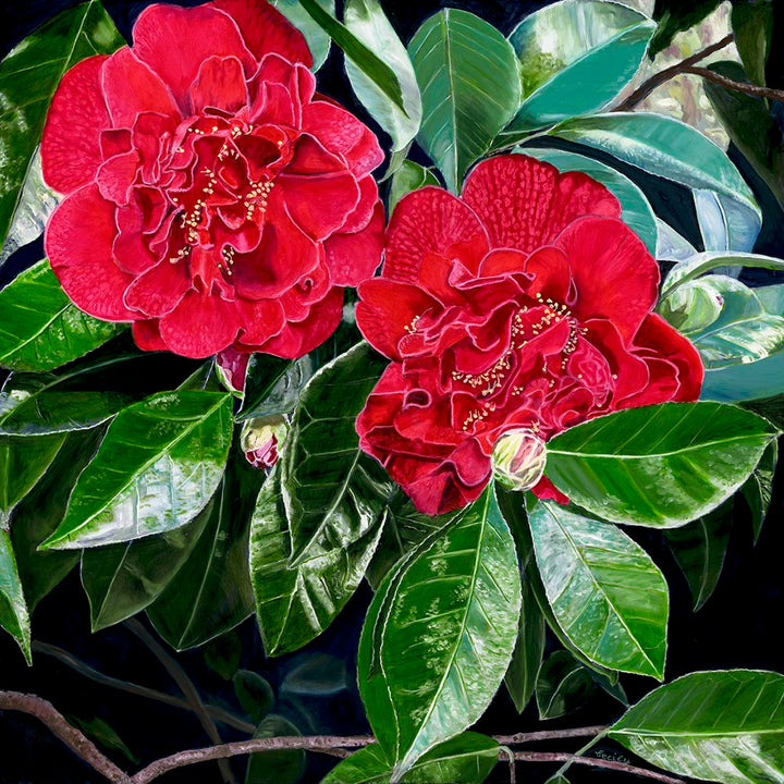 Cecily Slade – Red Hill Gallery