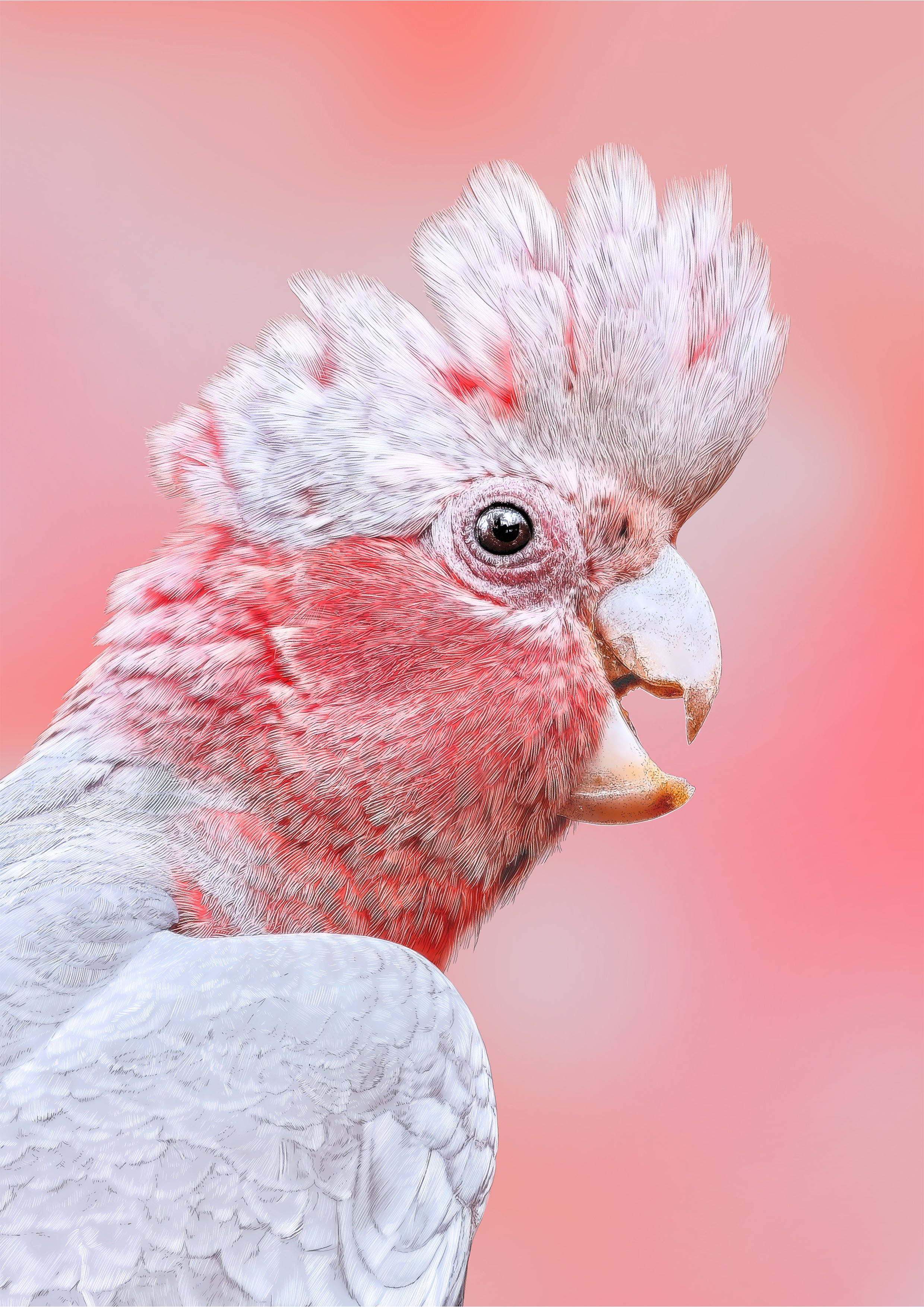 Painting Artists – Red Hill Gallery