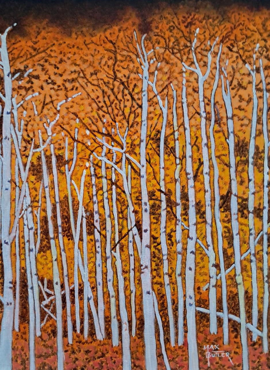 Max Butler – Red Hill Gallery