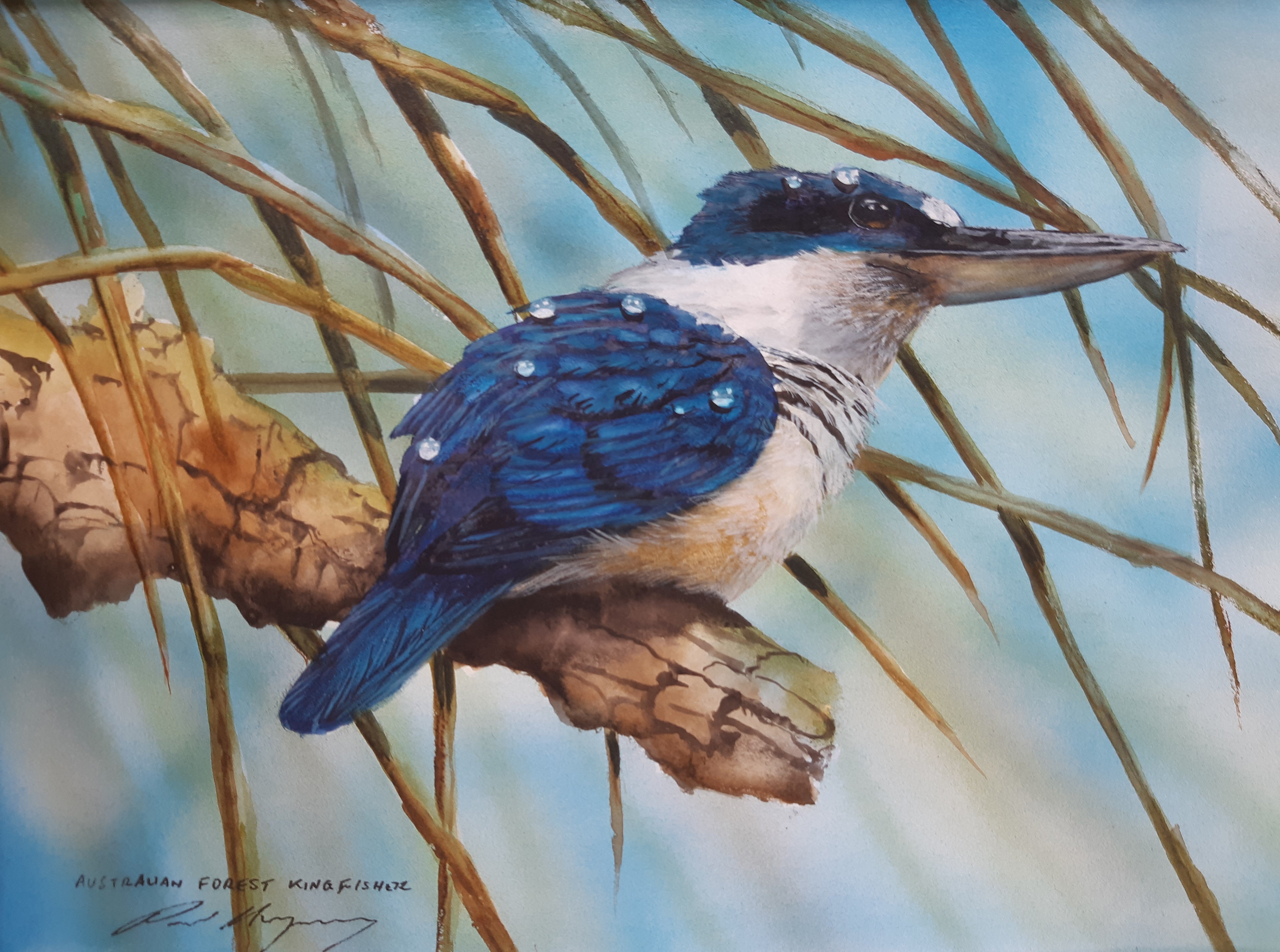 Paul Margocsy - All Blue Over You – Red Hill Gallery