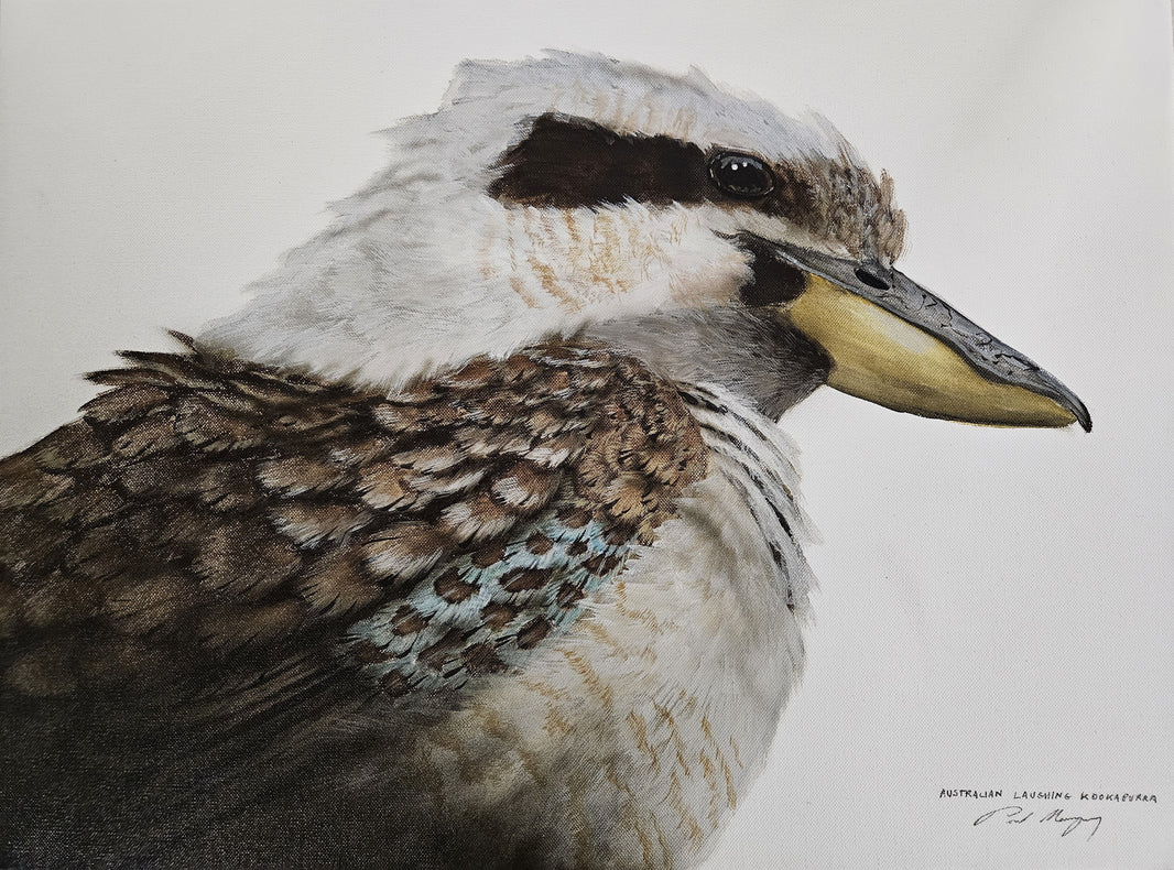 Paul Margocsy – Red Hill Gallery