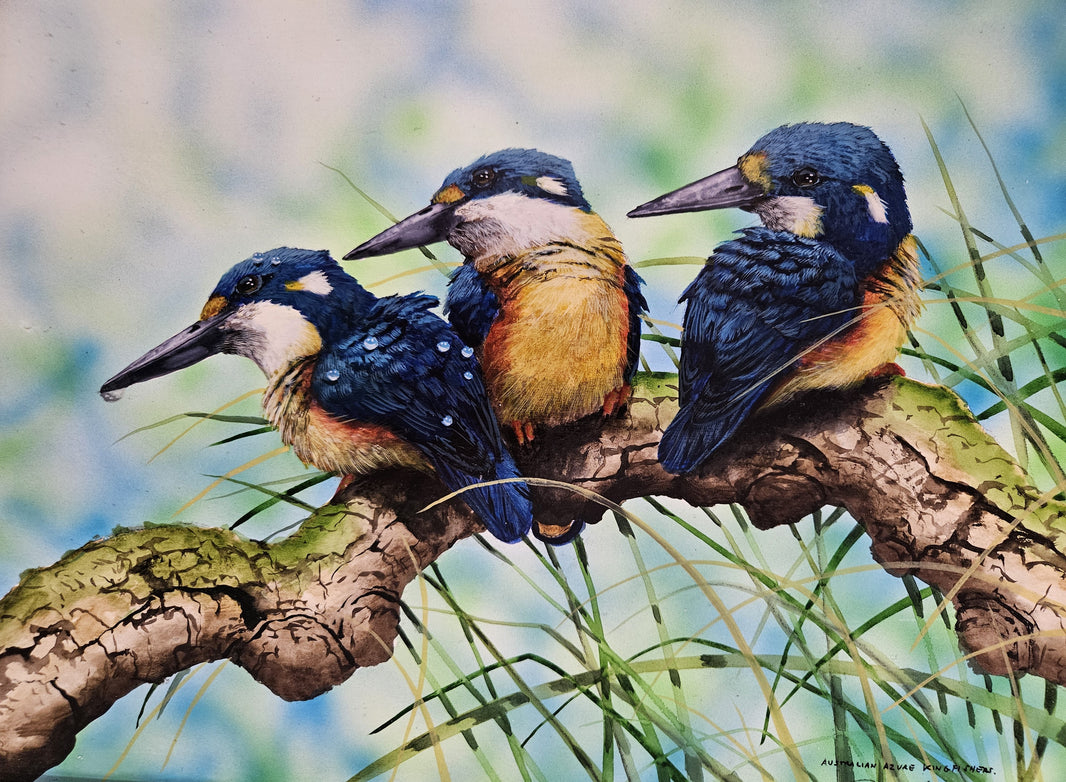 Paul Margocsy – Red Hill Gallery