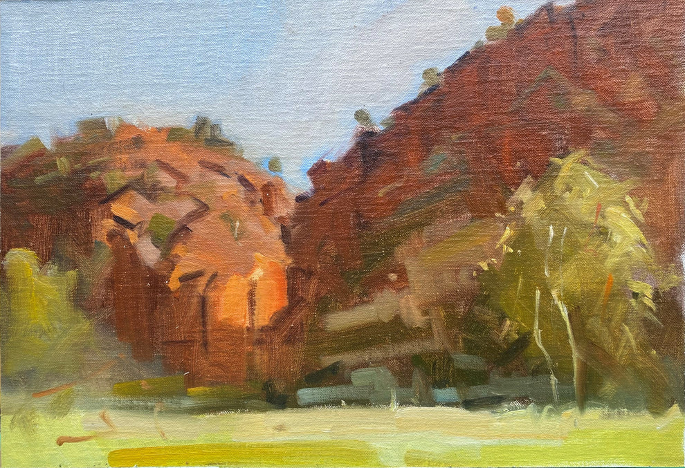 Stephen Doyle - Alice Springs – Red Hill Gallery