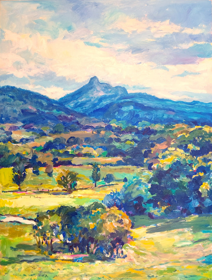 Painting Artists – Red Hill Gallery